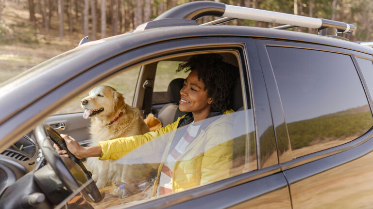 What Is No-Fault Insurance and Which States Have It? | The General